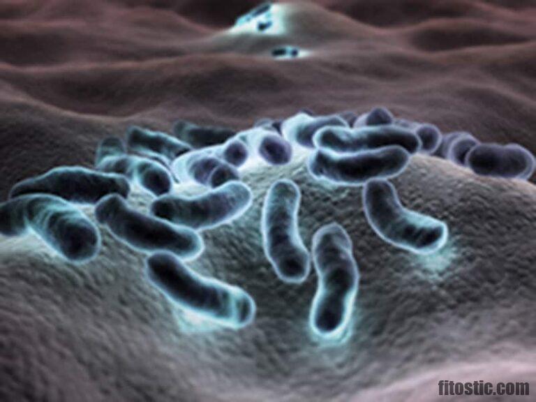 Comment traiter les condylomes chez l'homme ? - Fitostic.com - Sport ...