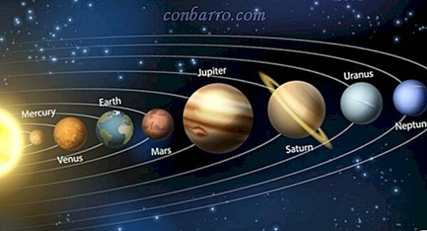 Où se situe la voie pyramidale ? - Fitostic.com - Sport, Mode, Beauté ...