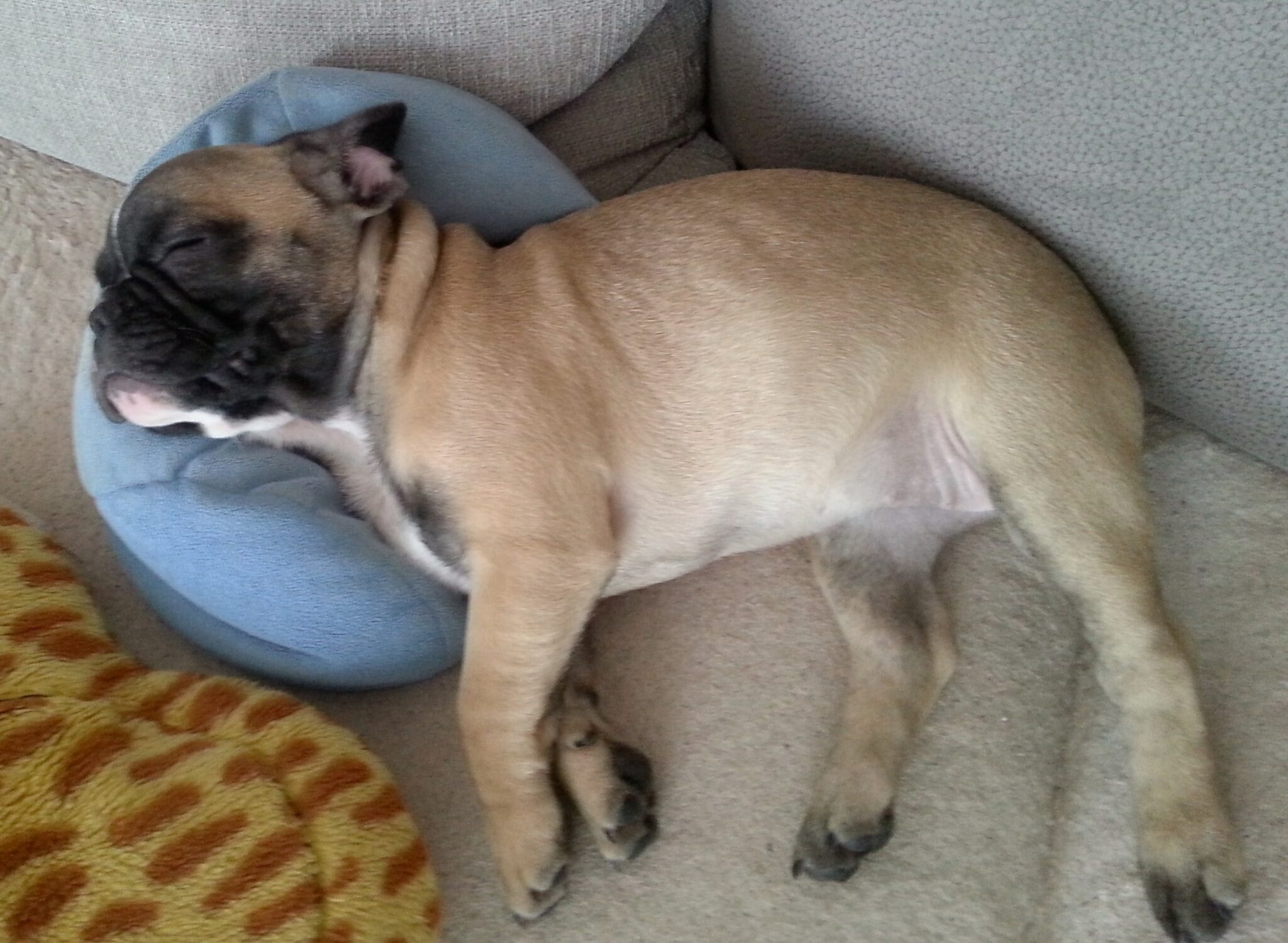 Pourquoi je n'arrête pas de péter ? - Fitostic.com - Sport, Mode ...