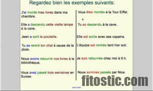 Quand utiliser Antadys ? - Fitostic.com - Sport, Mode, Beauté ...