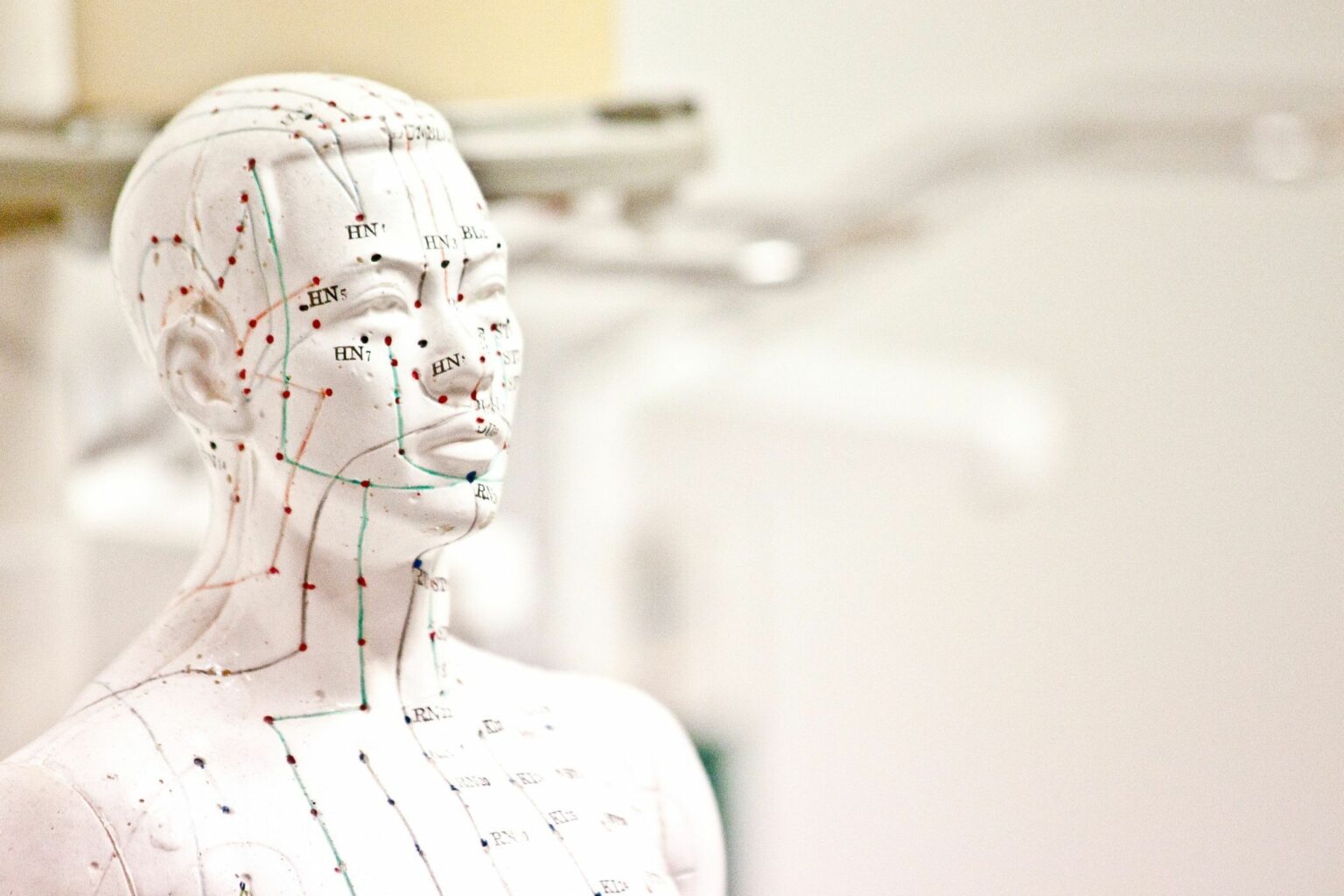 Quels sont les 12 méridiens du corps ? - Fitostic.com - Sport, Mode ...