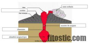 Quels sont les différents types de verrues ? - Fitostic.com - Sport ...