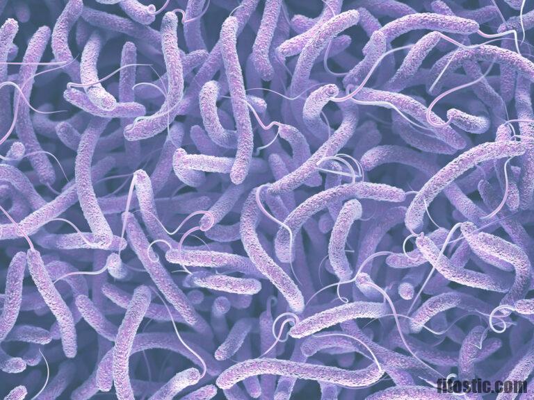 Quels sont les germes ? - Fitostic.com - Sport, Mode, Beauté & lifestyle Magazine