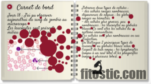 Quels sont les symptômes d'une mauvaise circulation sanguine ...