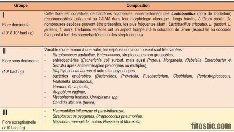 La Flore Commensale : Quels Sont Les Différents Types