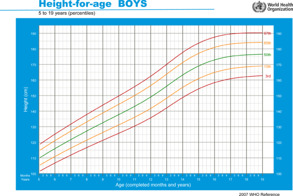 Quelle est la taille normale d'un garçon