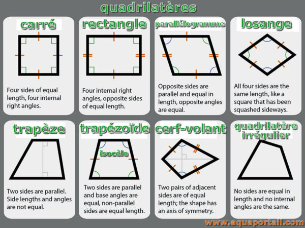 Quels sont les différents types de trapèze