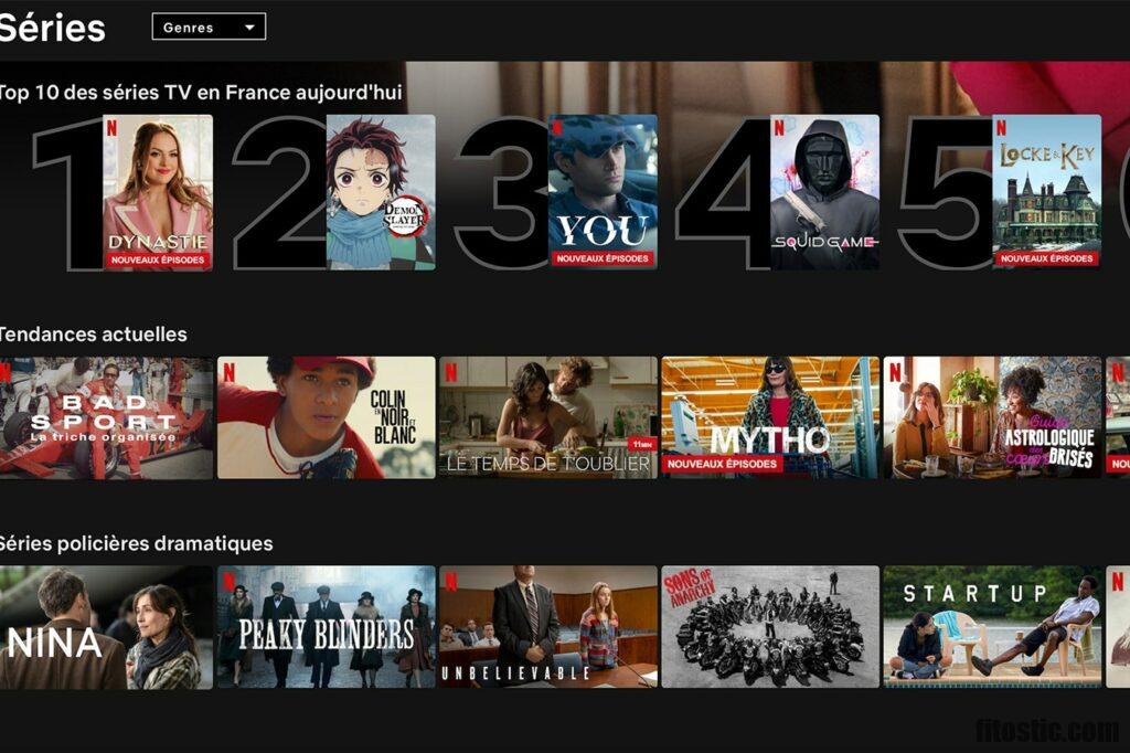 Quels sont les séries à succès sur Netflix